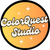 ColorQuest Studio - Color by Number Books
